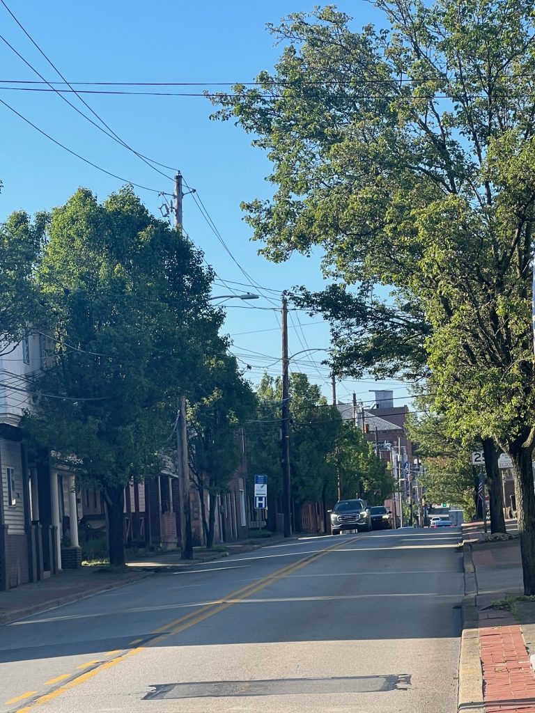 Connellsville ready to launch program to improve city’s tree scape ...